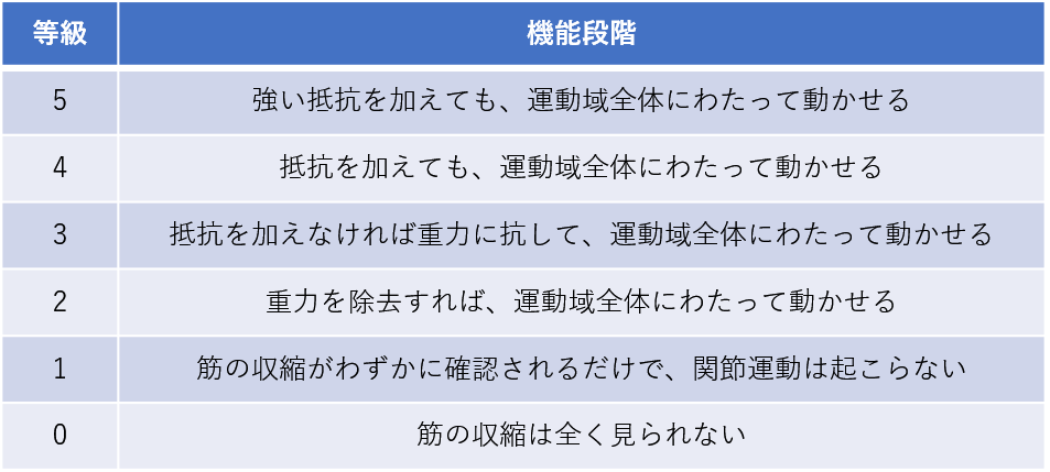 MMT（徒手筋力テスト）の歩行分析のメリットと問題点とは！？ | 歩行分析システム AYUMI EYE