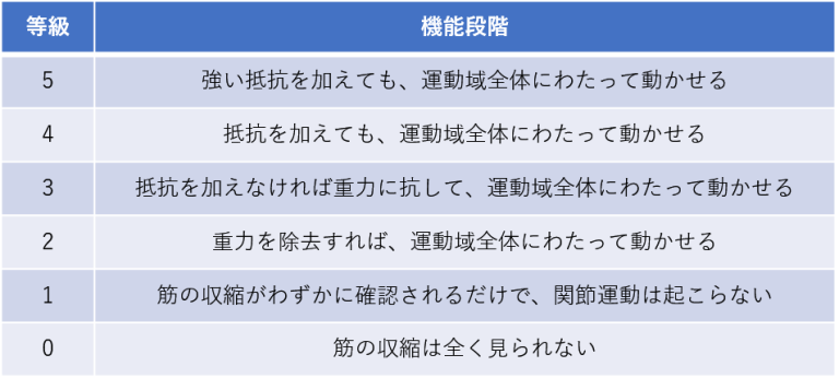 MMT評価法 – 歩行分析システム AYUMI EYE